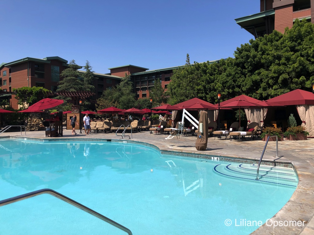 Marisol-Pool - The Unofficial Guides