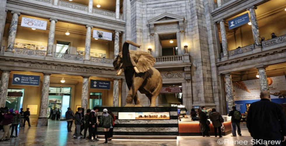 DC Museums opening banner - The Unofficial Guides